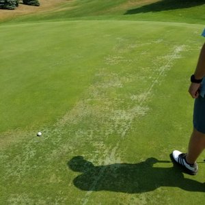 BAHLE FARMS GOLF COURSE - Updated July 2025 - 33 Photos & 19 Reviews ...