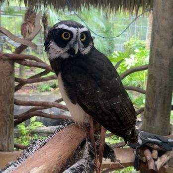 ZOOLOGICAL WILDLIFE FOUNDATION - Updated September 2025 - 927 Photos ...