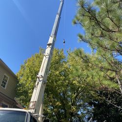 ACE TREE SERVICE - 22 Photos & 10 Reviews - Birmingham, Alabama - Tree ...