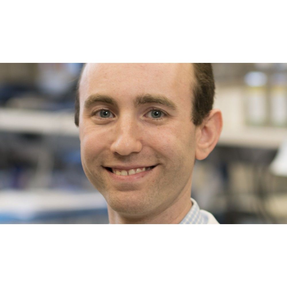 SCOTT MILLMAN, MD, PHD - Updated May 2024 - 1275 York Ave, New York ...