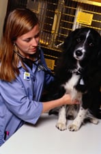 ST. PAUL VETERINARY CLINIC - Updated January 2026 - 40 Photos & 108 ...