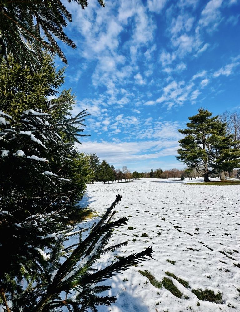 OAK RIDGE PARK - Updated September 2024 - 32 Photos & 10 Reviews - 103 ...