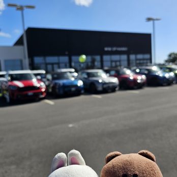 MINI OF HAWAII - Updated January 2026 - 190 Photos & 312 Reviews - 367 ...