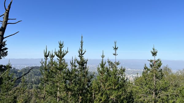 GRIZZLY PEAK - Updated December 2025 - 314 Photos & 143 Reviews - Old ...