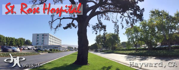 ST. ROSE HOSPITAL - Updated January 2026 - 35 Photos & 254 Reviews ...