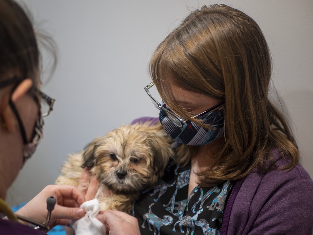 SHADOW RIDGE VETERINARY HOSPITAL & URGENT CARE - Updated October 2025 ...