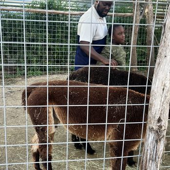 HOUSTON INTERACTIVE AQUARIUM AND ANIMAL ADVENTURE - Updated March 2025 ...