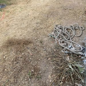 LIGHTHOUSE MANAGEMENT - Updated June 2025 - 24 Reviews - 13166 W ...