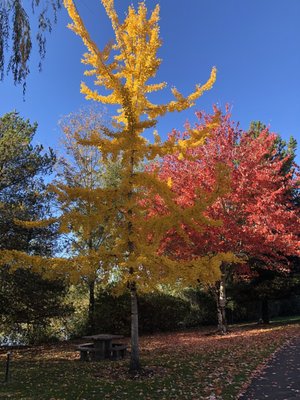 CEDAR RIVER TRAIL PARK - Updated July 2024 - 61 Photos & 18 Reviews ...