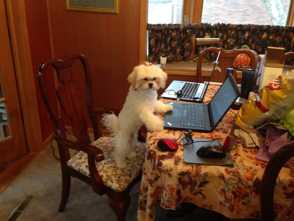 CLEAN GENE’S - Updated January 2025 - 5700 Franklin St, Lincoln ...