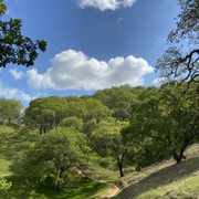DIABLO FOOTHILLS REGIONAL PARK - 237 Photos & 44 Reviews - 1700 Castle ...