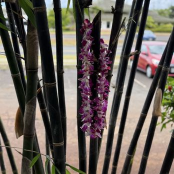 THE INN AT SCHOFIELD - Updated December 2025 - 147 Photos & 107 Reviews ...