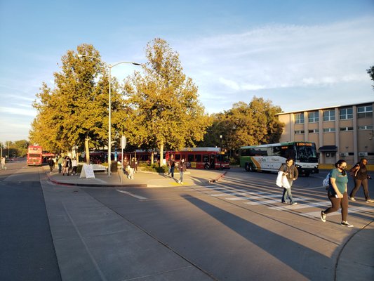 UNIVERSITY OF CALIFORNIA - Updated December 2025 - 1934 Photos & 187 ...