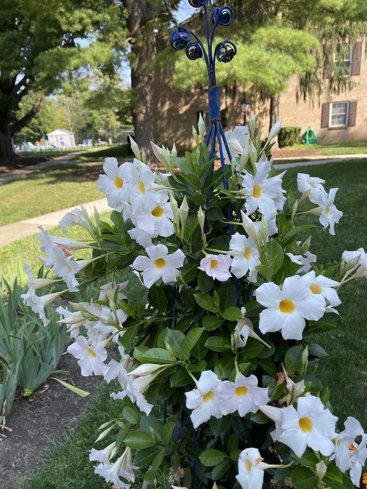 OLD FORGE CROSSING CONDOMINIUMS - Updated January 2026 - 1027 N Valley ...