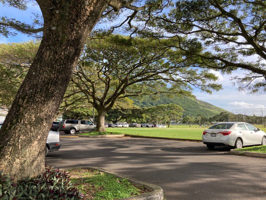 MANOA VALLEY DISTRICT PARK - Updated February 2025 - 159 Photos & 54 ...