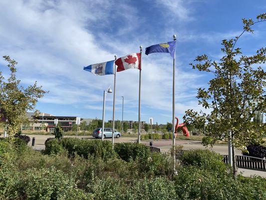 TERWILLEGAR COMMUNITY RECREATION CENTRE - Updated May 2025 - 77 Photos ...