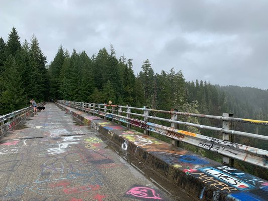 HIGH STEEL BRIDGE - Updated June 2025 - 28 Photos - NF2340, Shelton ...