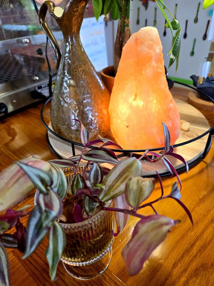 GOODOO BOWL - Updated December 2025 - 14 Photos - 1210 N Roan St ...