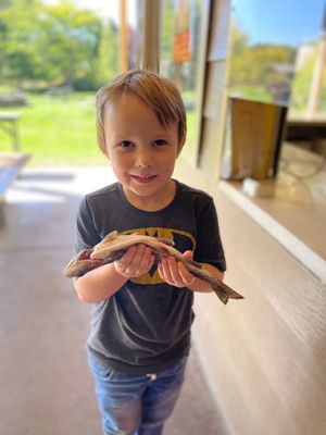 COLD SPRINGS TROUT FARM - Updated January 2026 - 51 Photos & 33 Reviews ...