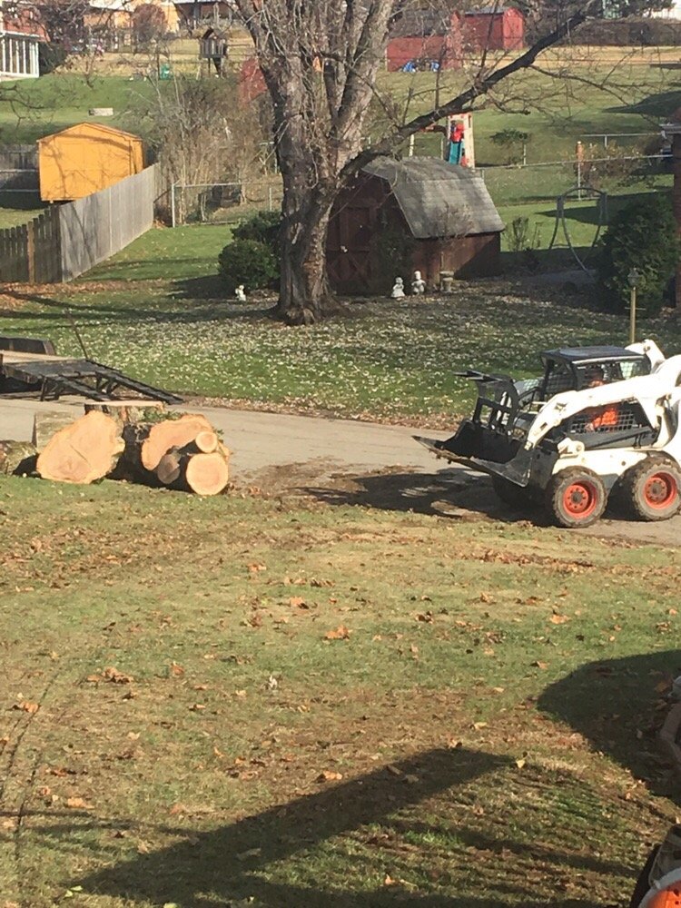 COFFEY & SON TREE SERVICE - Updated January 2026 - 19 Photos - 3477 ...