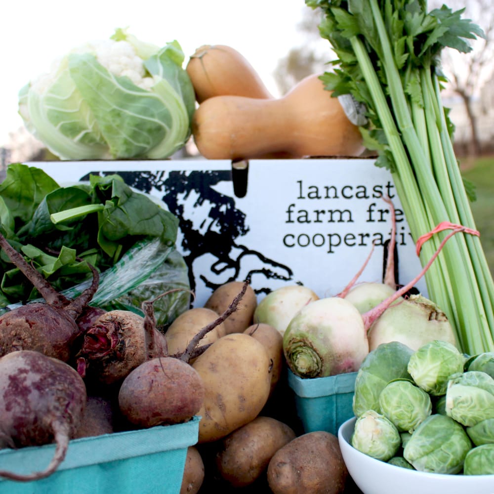 LANCASTER FARM FRESH COOPERATIVE - Updated December 2025 - 13 Photos ...