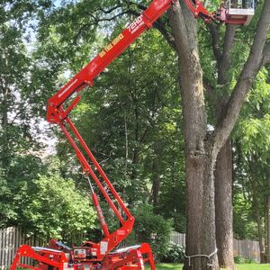DAVE’S MIDWEST TREE SERVICE - Updated June 2025 - 3227 W 112th Pl ...
