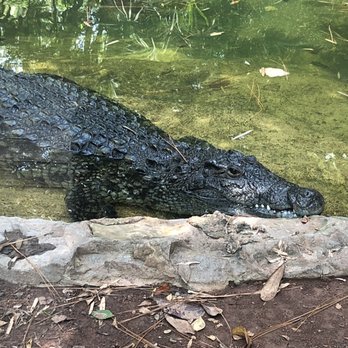 ALEXANDRIA ZOOLOGICAL PARK - Updated October 2025 - 94 Photos & 39 ...