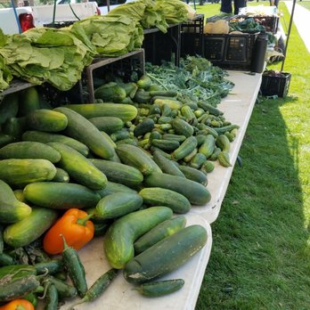 MILLER FARMS - Updated August 2025 - 96 Photos & 79 Reviews - 9040 Hwy ...