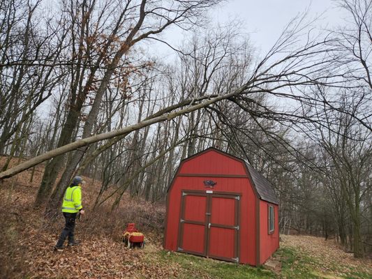 TREE WISE MEN - Updated August 2025 - 72 Photos - 4332 E County Rd O ...