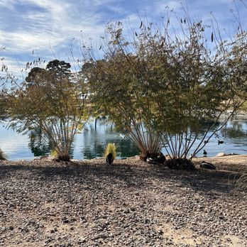 CRAIG RANCH REGIONAL PARK - Updated June 2025 - 908 Photos & 225 ...