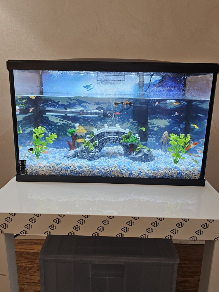 MARKHAM AQUARIUM 2 U - Updated December 2025 - 40 Photos & 10 Reviews ...