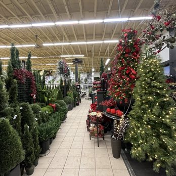 SILK PLANT WAREHOUSE - Updated January 2026 - 100 Photos & 21 Reviews ...