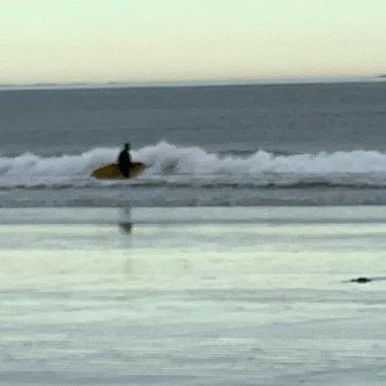 JENNESS STATE BEACH - Updated October 2025 - 16 Photos - 2280 Ocean ...