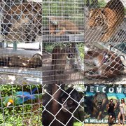 OCTAGON WILDLIFE SANCTUARY - 116 Photos & 34 Reviews - 41660 Horseshoe ...