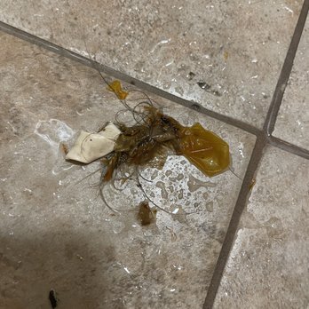 EAGLE TREE RV PARK - 20 Photos & 29 Reviews - 16280 State Hwy 305 NE ...