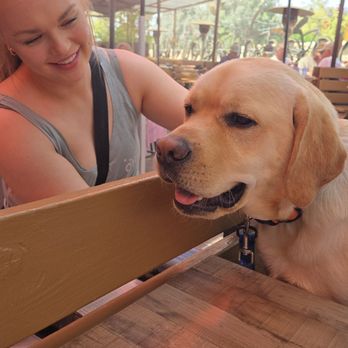 OHSO BREWERY- ARCADIA - Updated May 2025 - 1662 Photos & 1678 Reviews ...