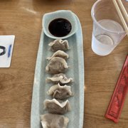 HELLO DUMPLING - 404 Photos & 462 Reviews - 1146 Peavy Rd, Dallas, TX ...