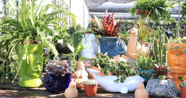 POTTERY MFG & DIST. INC. - Updated May 2026 - 427 Photos & 279 Reviews ...
