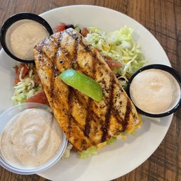 COASTERS TAPHOUSE - Updated December 2025 - 441 Photos & 400 Reviews ...