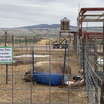 ANDELIN FAMILY FARM - Updated October 2025 - 546 Photos & 130 Reviews ...