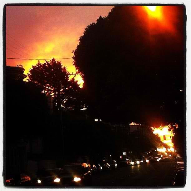 DRI CLEAN EXPRESS - Updated August 2025 - 23 Reviews - 998 Oak St, San ...