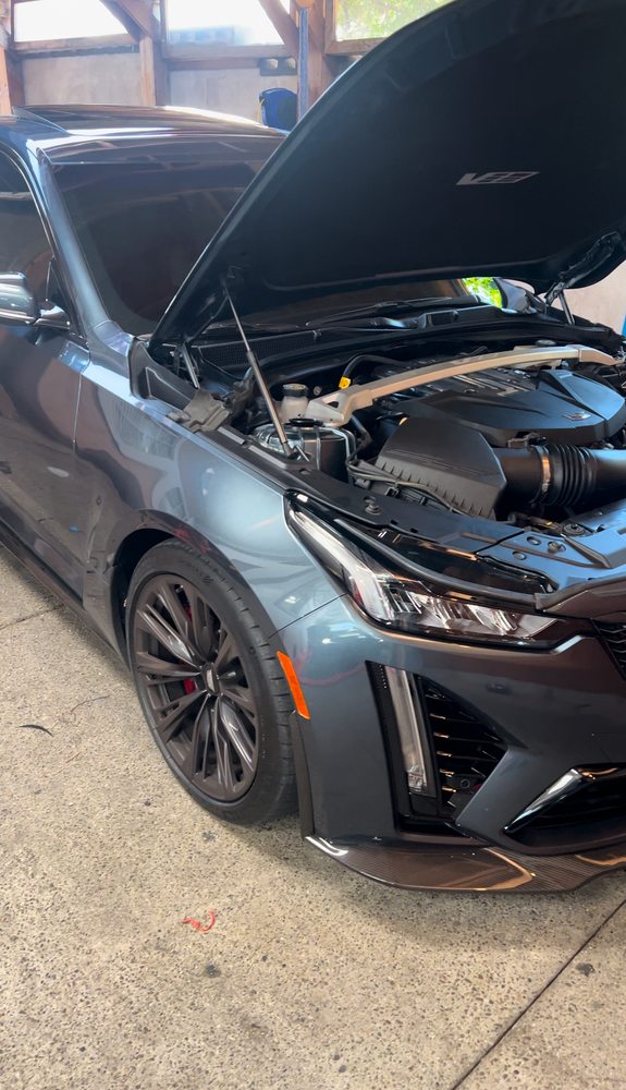 THE TINT FACTORY - Updated December 2024 - Request a Quote - Hayward ...