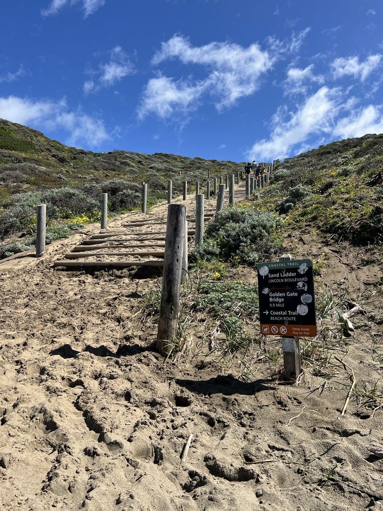BAKER BEACH SAND LADDER - Updated September 2025 - 81 Photos & 39 ...