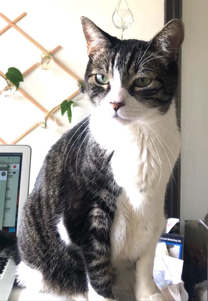 DR RAYMOND K YOZA, RESONANT HEALING - Updated September 2024 - 27 ...