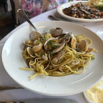 PAZZO MMX - Updated August 2025 - 395 Photos & 515 Reviews - 141 W ...