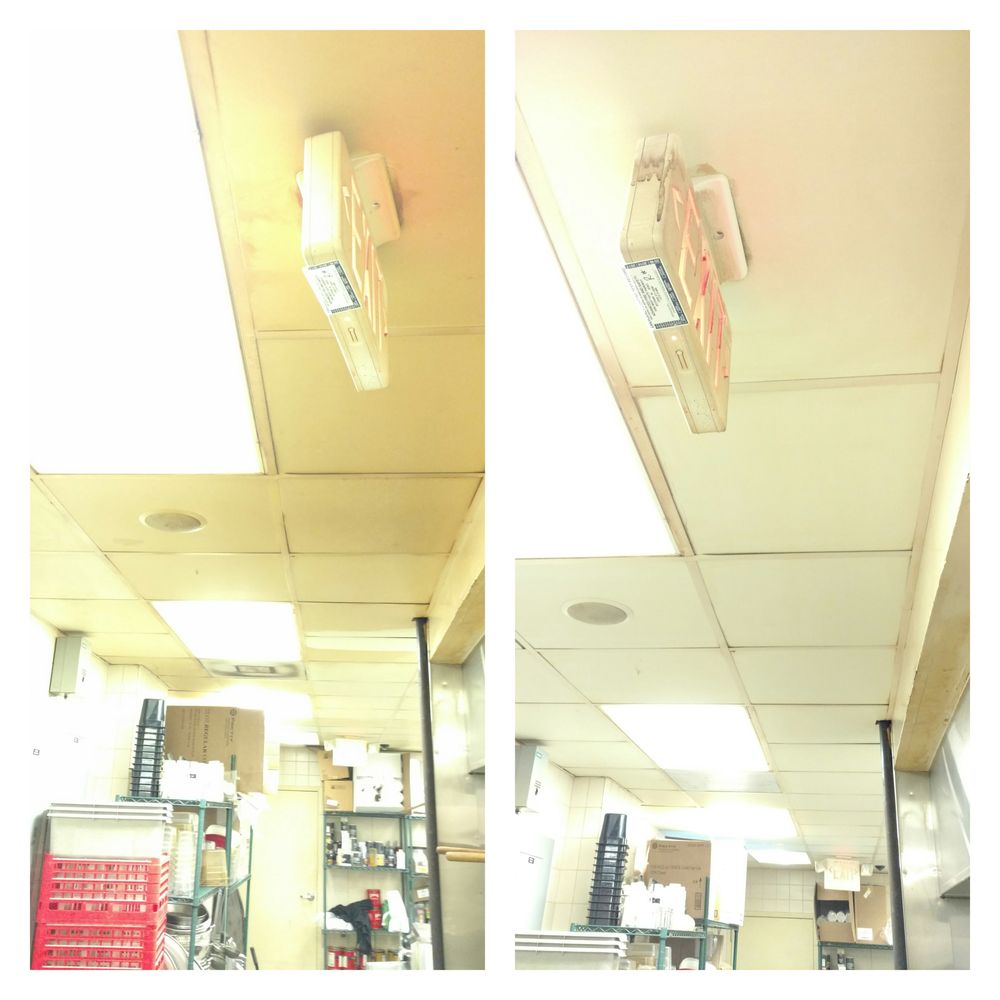 CEILING PRO INTERNATIONAL - Updated July 2025 - 14 Photos - 10601 Red ...