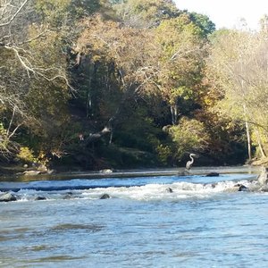 RIVANNA RIVER COMPANY - Updated December 2025 - 35 Photos & 32 Reviews ...