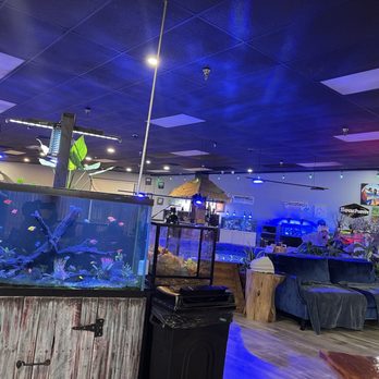 FLOATING SEA AQUATICS - Updated December 2025 - 290 Photos & 65 Reviews ...