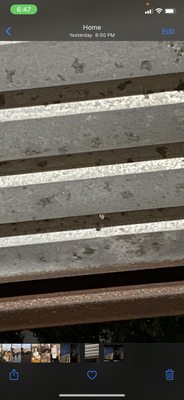 BERRETT PEST CONTROL - Updated December 2025 - 31 Photos & 169 Reviews ...