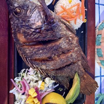 EL CEVICHERO CANTINA - Updated January 2026 - 151 Photos & 63 Reviews ...